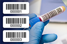Order Printed Barcodes Online - Order Barcodes